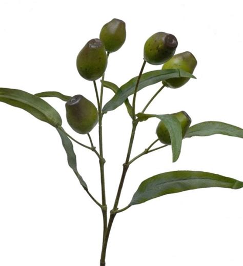 Artificial Gumnut Spray Green 62cm Desflora