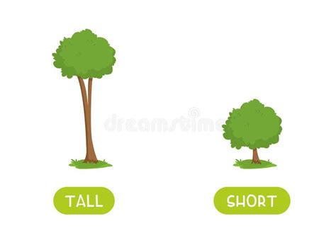Tall Short Stock Illustrations 1 445 Tall Short Stock Illustrations