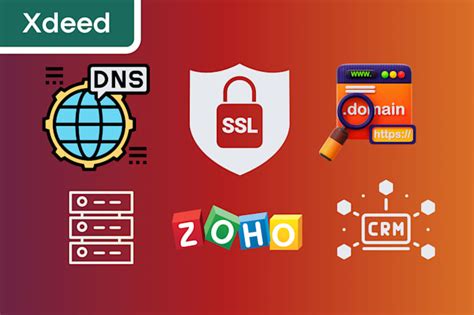 Handle Ssl Dns Web Deploy Domain Issues Hosting Issues By Developer339