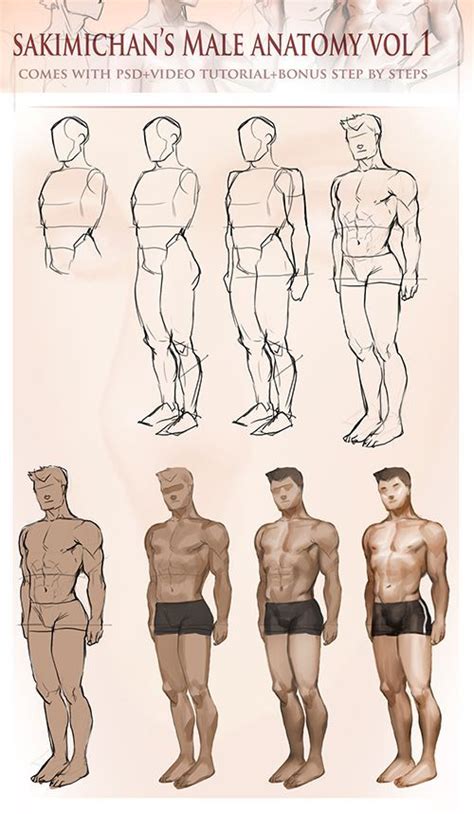 Pin By A Pie On Art Tutorials Male Body Drawing Body Drawing