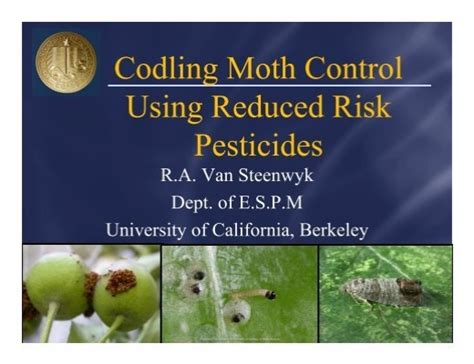 Vansteenwyk New Codling Moth In Walnuts Kings County