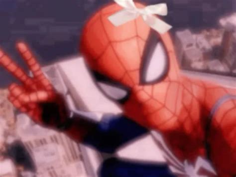 Dscp Ursinhos Uma Idiota Qualquer Quizur