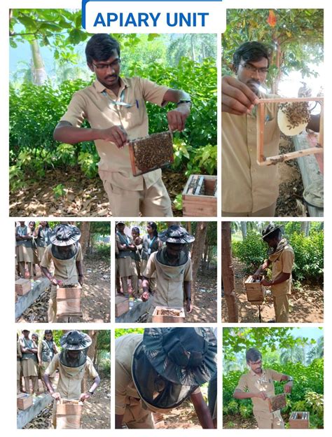Handling Of Honey Bees During My Course Hours At My College E Siva Sundar