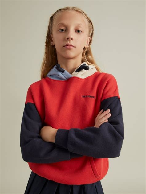 Color Block Hooded Sweater Lp004967350 Lion Of Porches