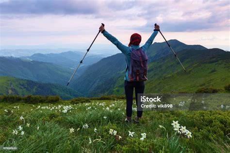 좋은 하얀 수 선화와 함께 잔디밭에 여자는 막대기와 끝 없는 광대 높은 산 흐린 하늘 숲을 보고 다시 자루를 추적 유지 됩니다 아름 다운 여름 풍경입니다 건강한 생활방식에