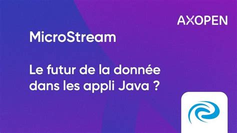 Microstream Le Futur De La Donnée Dans Vos Applications Java