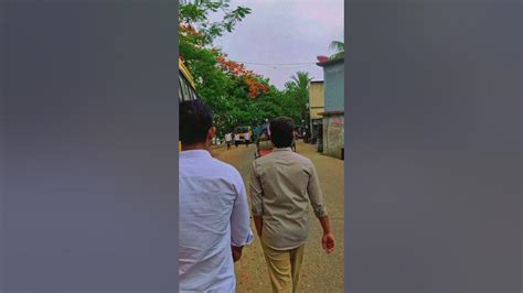 কৃষ্ণচূড়া ফুল Youtube