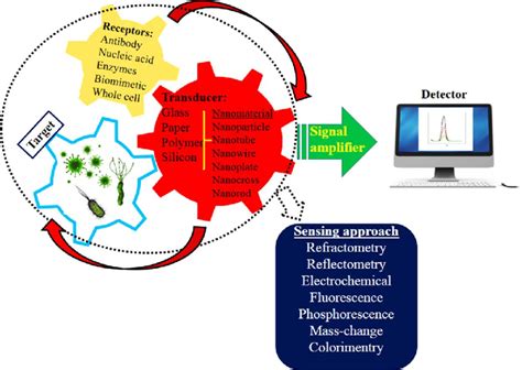 Schematic Illustration Of The Working Principles Of A Biosensor And