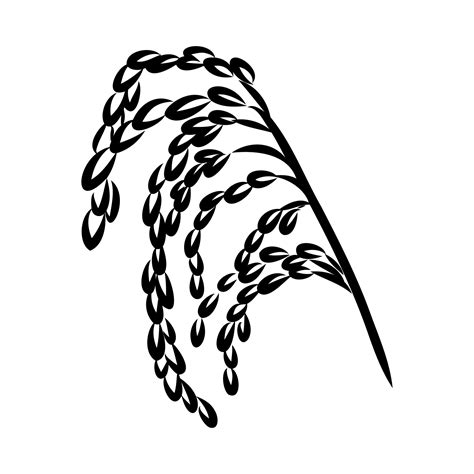 Rice Plant Vector Sketch 7310514 Vector Art At Vecteezy