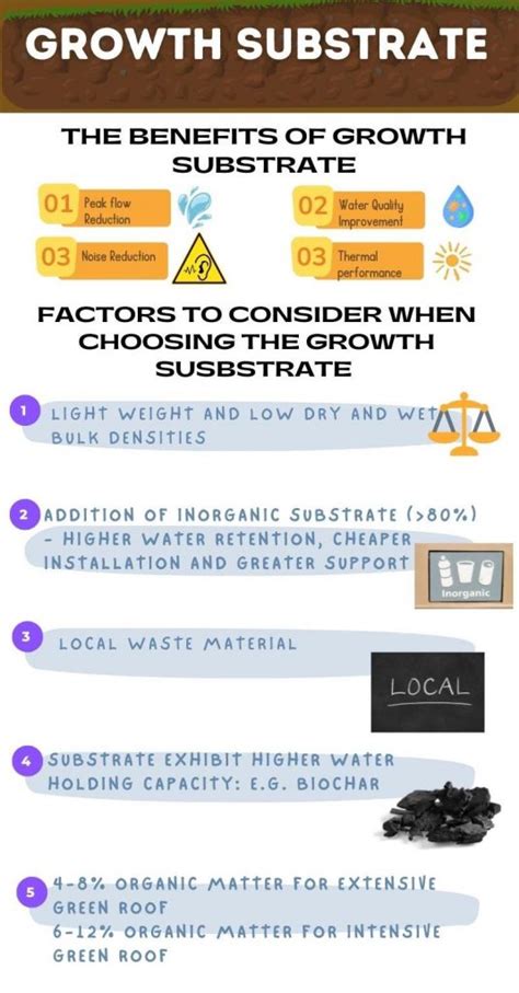 Growth Substrate Infographics Interactive Learning Resource About
