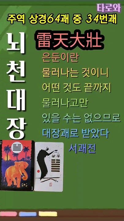 쇼츠 뇌천대장 주역 주역타로 타로와 타로와핑크사주 Youtube