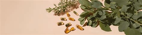 The Labels You Can Trust Fda And Gmp Certification Explained Secrets