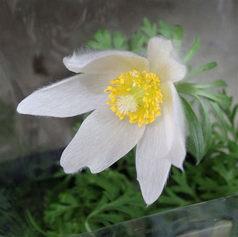 By Hippo Id Photohito