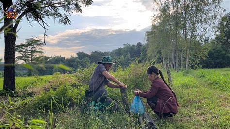 มื้อนี้มาหากินอยุ่ทุ่งไฮทุ่งนาได้จิโป้มมาป่นกินกับนิ่งปลาแซ่บขนาดเด้อคับพี่น้อง มื้อนี้มาหากิ