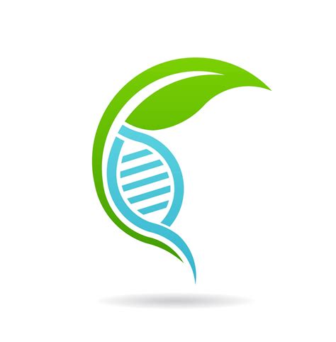 The Foundation Program Restore Equilibrium