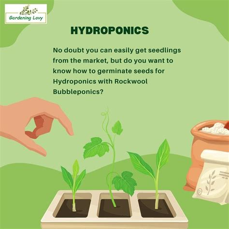 Online Hydroponic Gardening Methods Tips And Tricks Gardening Lovy Medium