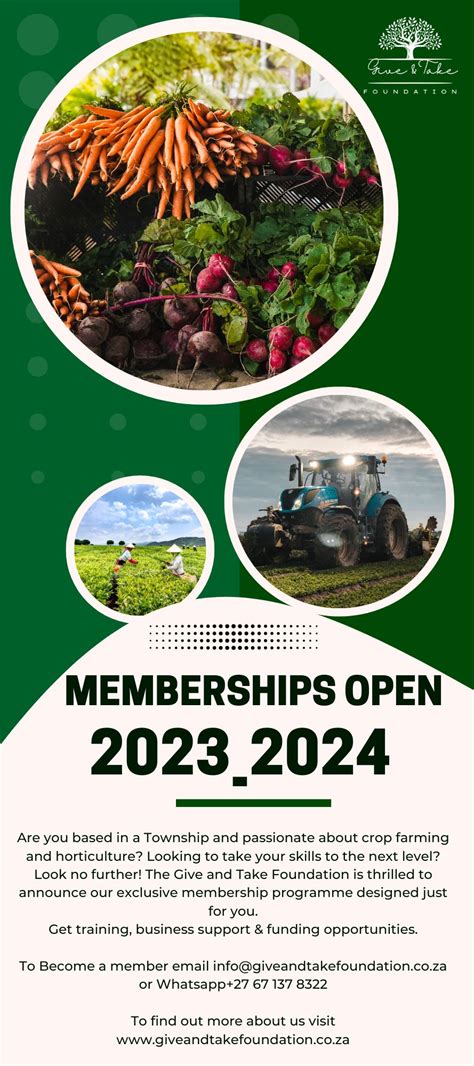 Bella Maphakela Posted On Linkedin