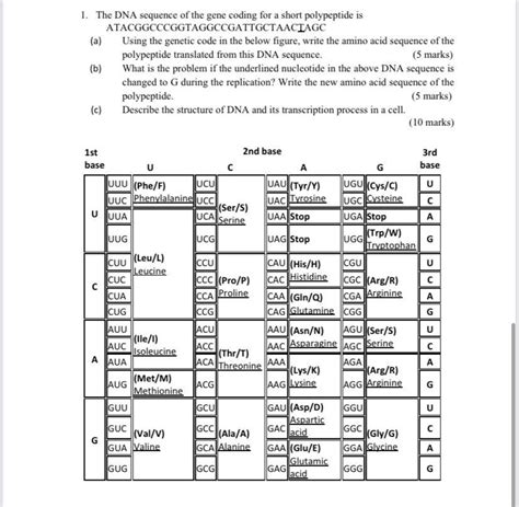Solved 1 The DNA Sequence Of The Gene Coding For A Short Chegg Com