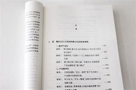 数聚股份 Gep 数字经济 核算决策支持系统 Gep核算决策支持平台 乡村治理