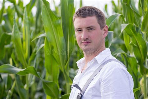 Un Agricultor En Un Campo De Maíz Verde Imagen De Archivo Imagen De
