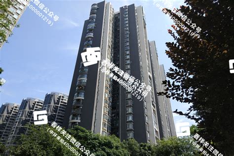 成都市成华区崔家店路500号6栋2单元20楼2号住宅 司法拍卖 阿里资产