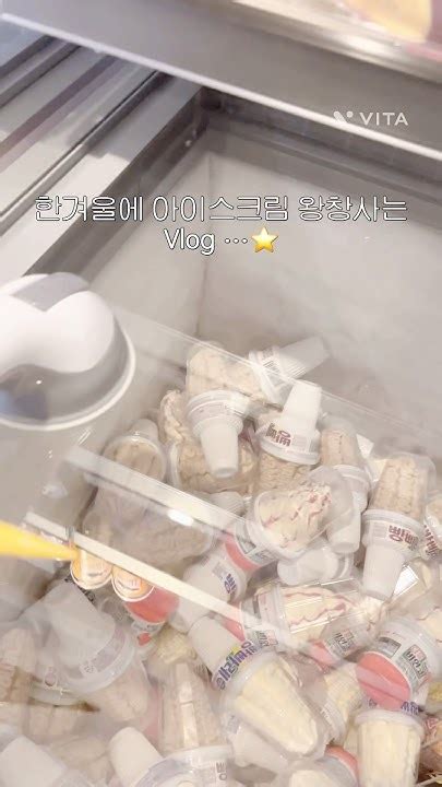 한겨울에 아이스크림 왕창 사는 브이로그⭐️😉공튜버 초5 Vlog 브이로그 아이스크림 Youtube