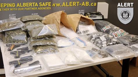 Edmonton Drug Bust News Videos And Articles