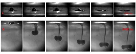 A Total Coalescence Of A Water Drop With The Interface Between Water Download Scientific