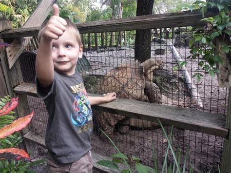 Crianças aprendem o que é o sexo quando menos esperam