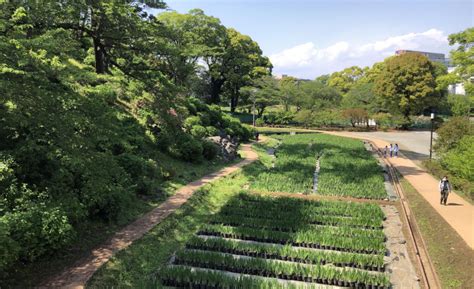 小田原城址公園こども遊園地子連れママのための子育て情報サイト mamasky ママスキー