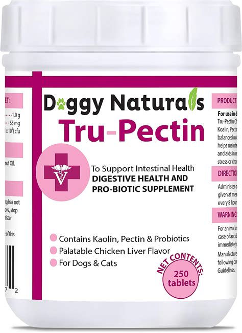 Nutramax Proviable Digestive Health Supplement Kit With Multi Strain Probiotics And