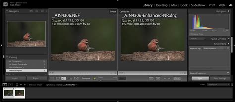 Denoise Problem Backcountry Gallery Photography Forums