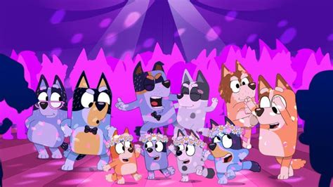 Longest Ever Bluey Episode To Stream On Bbc Iplayer Worcester News