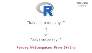 R Remove Whitespaces From String Data Science Parichay