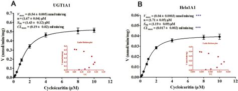 Figure 1 From The Roles Of Breast Cancer Resistance Protein Bcrpabcg2