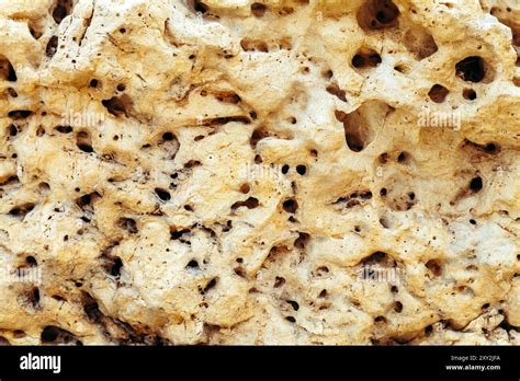Pale Magmatic Rock With Porous Texture Top View Stock Photo Alamy