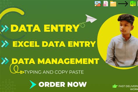 I Will Do Your Data Entry Web Research Data Mining Microsoft Excel