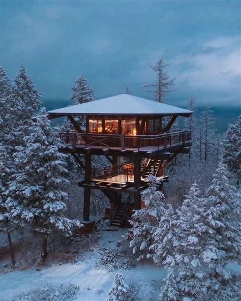 Winter Tree Cabin Cabinporn Architecture Cabins In The Woods Tree