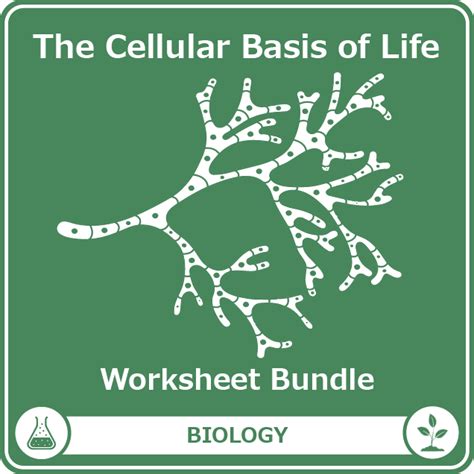 The Cellular Basis Of Life Worksheet Bundle Good Science