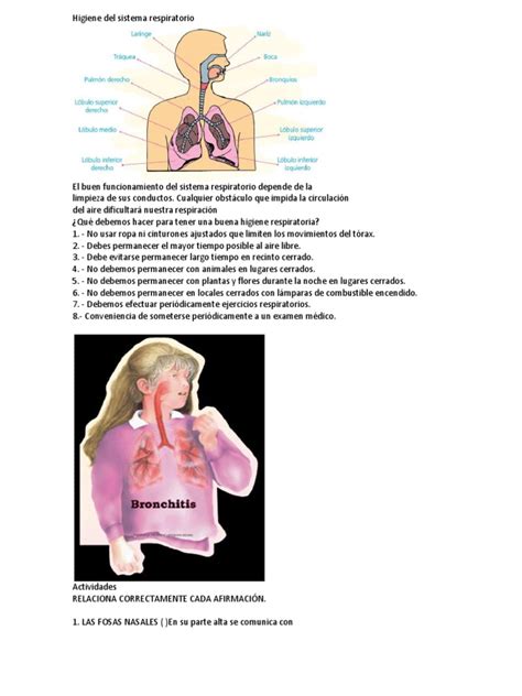 Higiene Y Cuidados Del Sistema Respiratorio Pdf Sistema