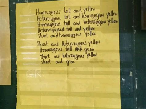 2 Homozygous Tall And Yellow Heterozygous Studyx