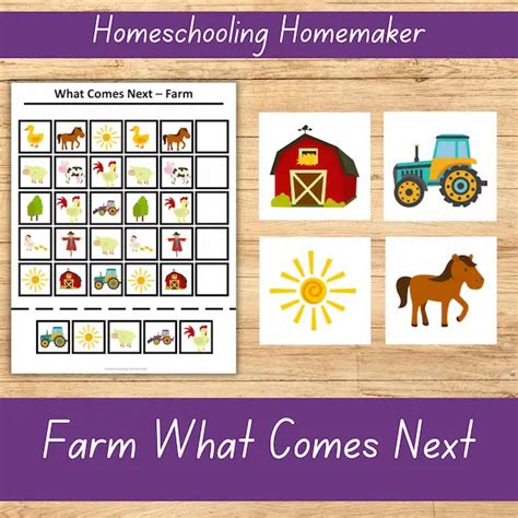 Farm What Comes Next Pattern Sequencing