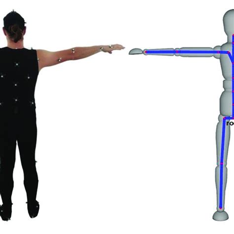 Marker Setup And Reconstructed Skeleton Representation Joints That Download Scientific