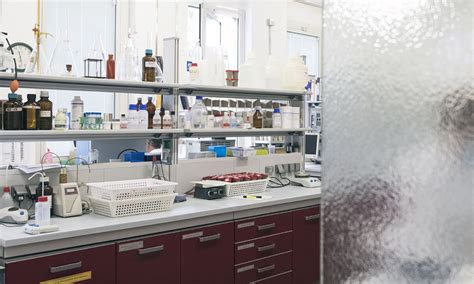 Scienze E Tecniche Delle Attività Motorie Preventive E Adattate