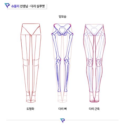 프로픽 아카데미 On Twitter 슈몰리 선생님의 다리 실루엣 튜토리얼 프로픽 Propic 프로픽셔널 튜토리얼