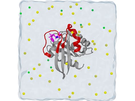 Computational And Theoretical Biophysics