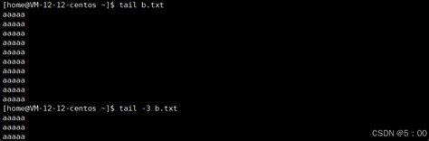 探索linux世界：基本指令（文件查看、时间相关、grep、打包压缩及相关知识） cat grep 时间 csdn博客
