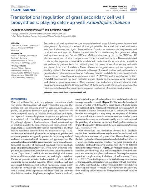 Pdf Transcriptional Regulation Of Grass Secondary Cell Wall