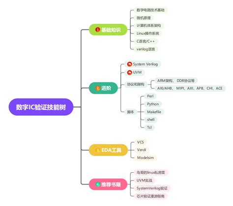 数字 Ic 应该如何入门呢？