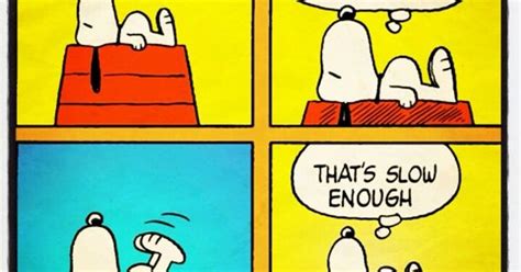 Lazy Days Snoopy Pinterest Snoopy Peanuts Gang And Peanuts Comics